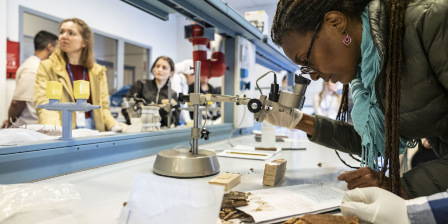 News by Category | ICCROM